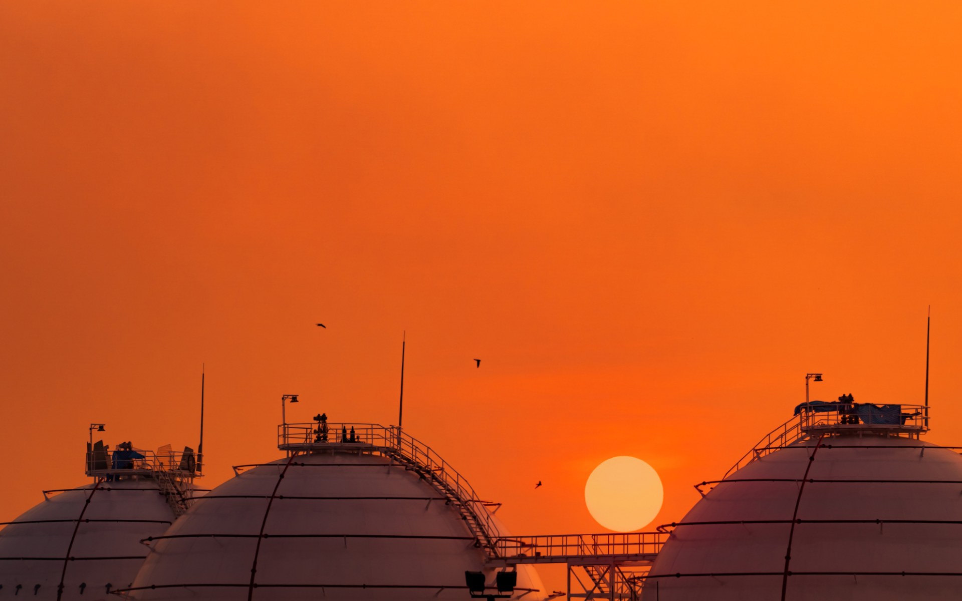 Tanzania: Petredec Launches Construction of Tanga LPG Terminal