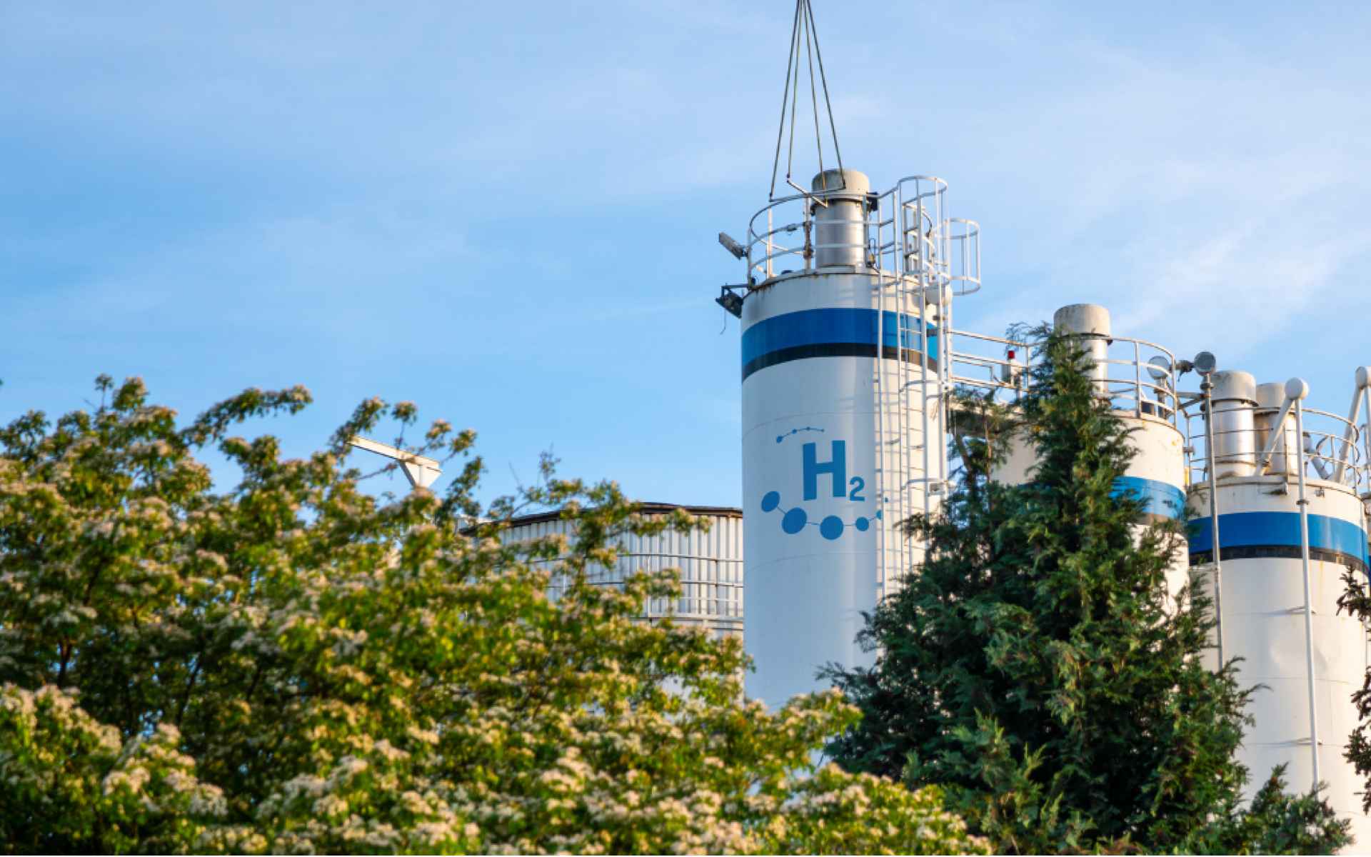 Africa’s First Integrated Green Hydrogen Plant Opens in Walvis Bay