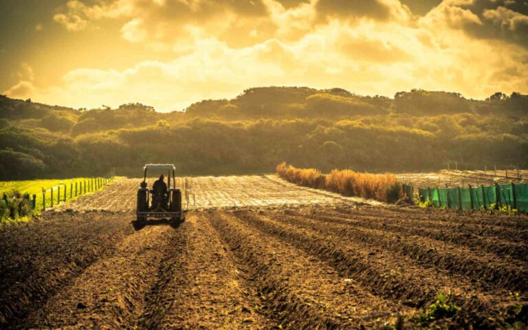 Millennial Potash Launches Feasibility Study in Gabon