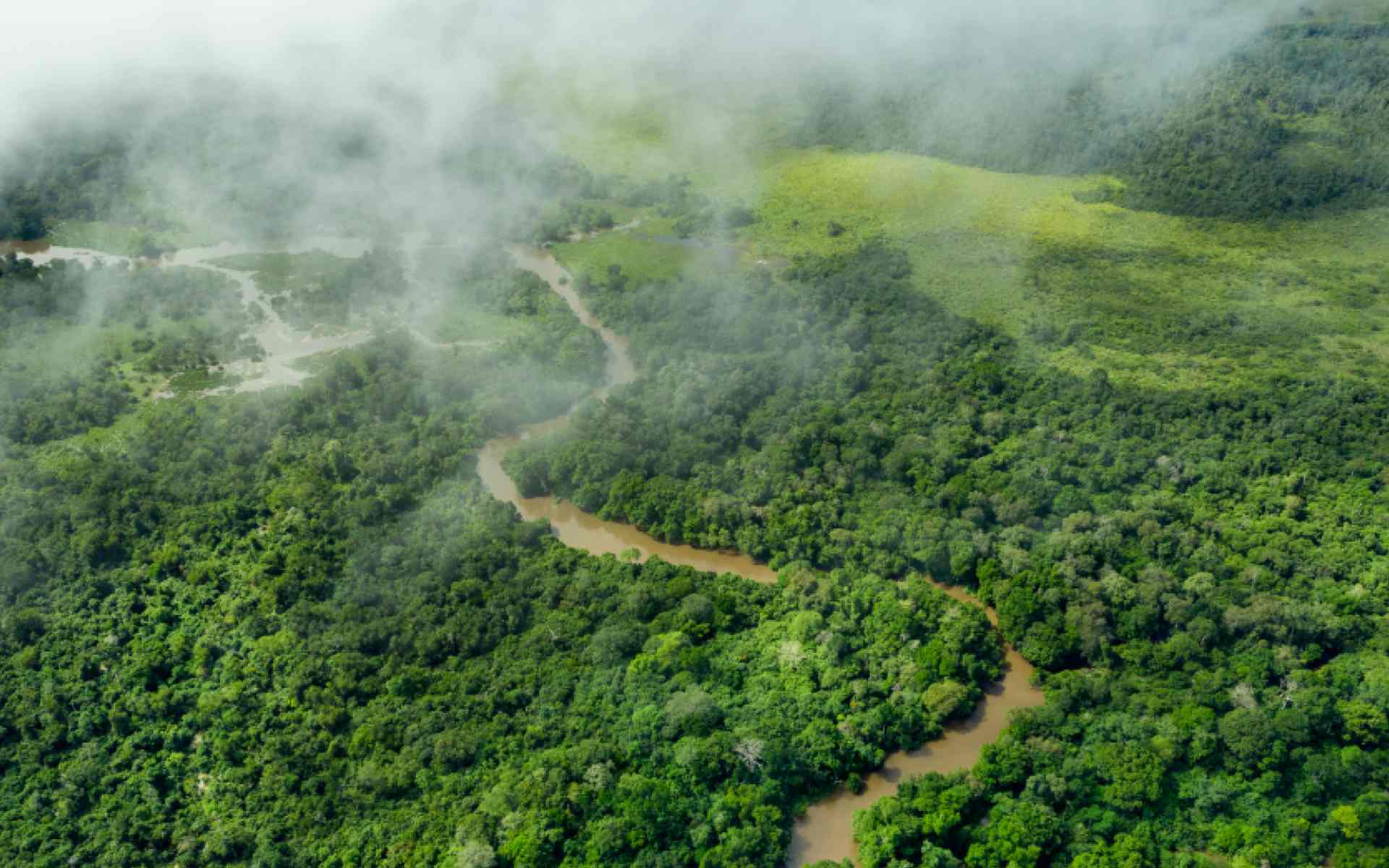 Republic of Congo Launches Phase Two of Biodev 2030 Project