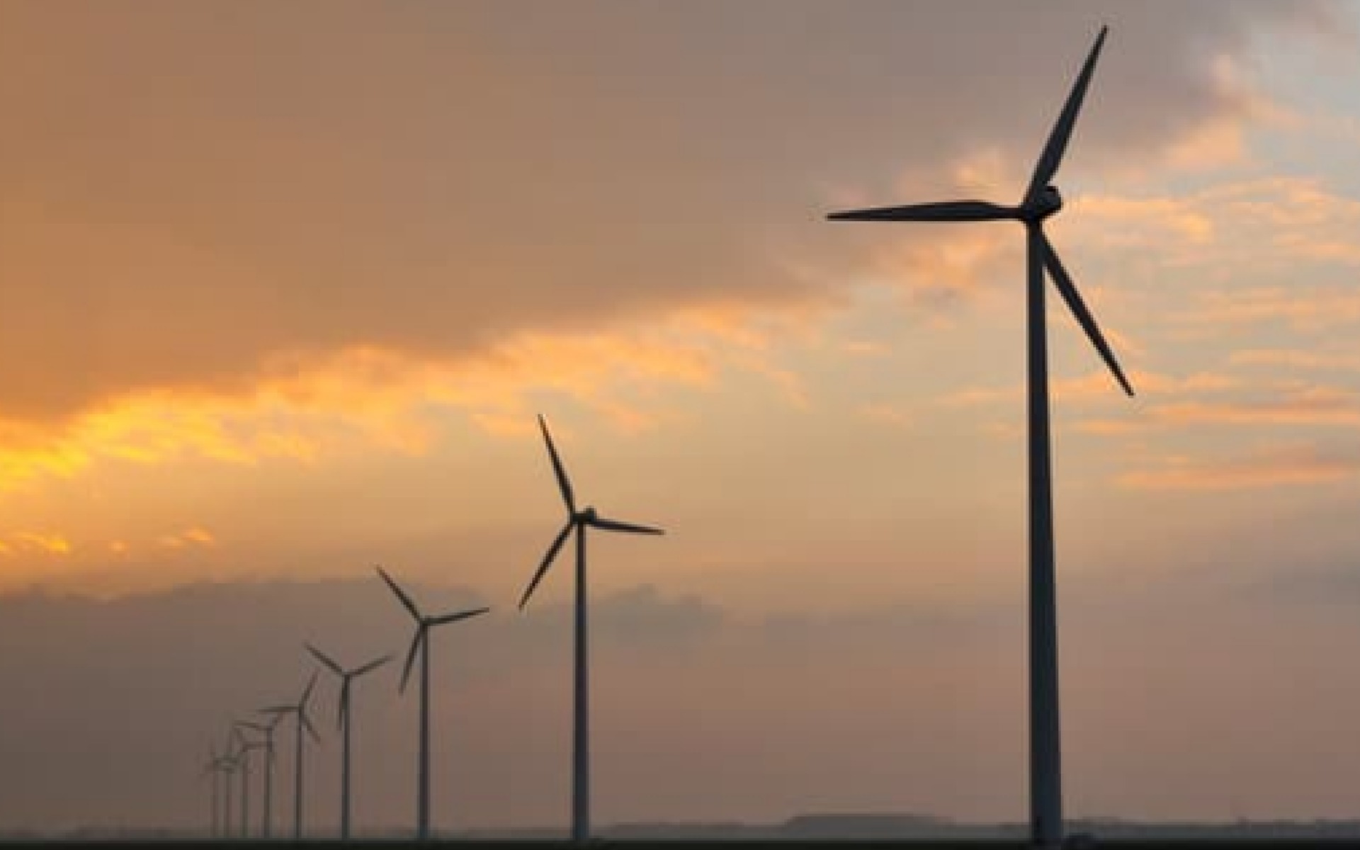 EBRD Mobilizes $74M for Egyptian Wind Farm