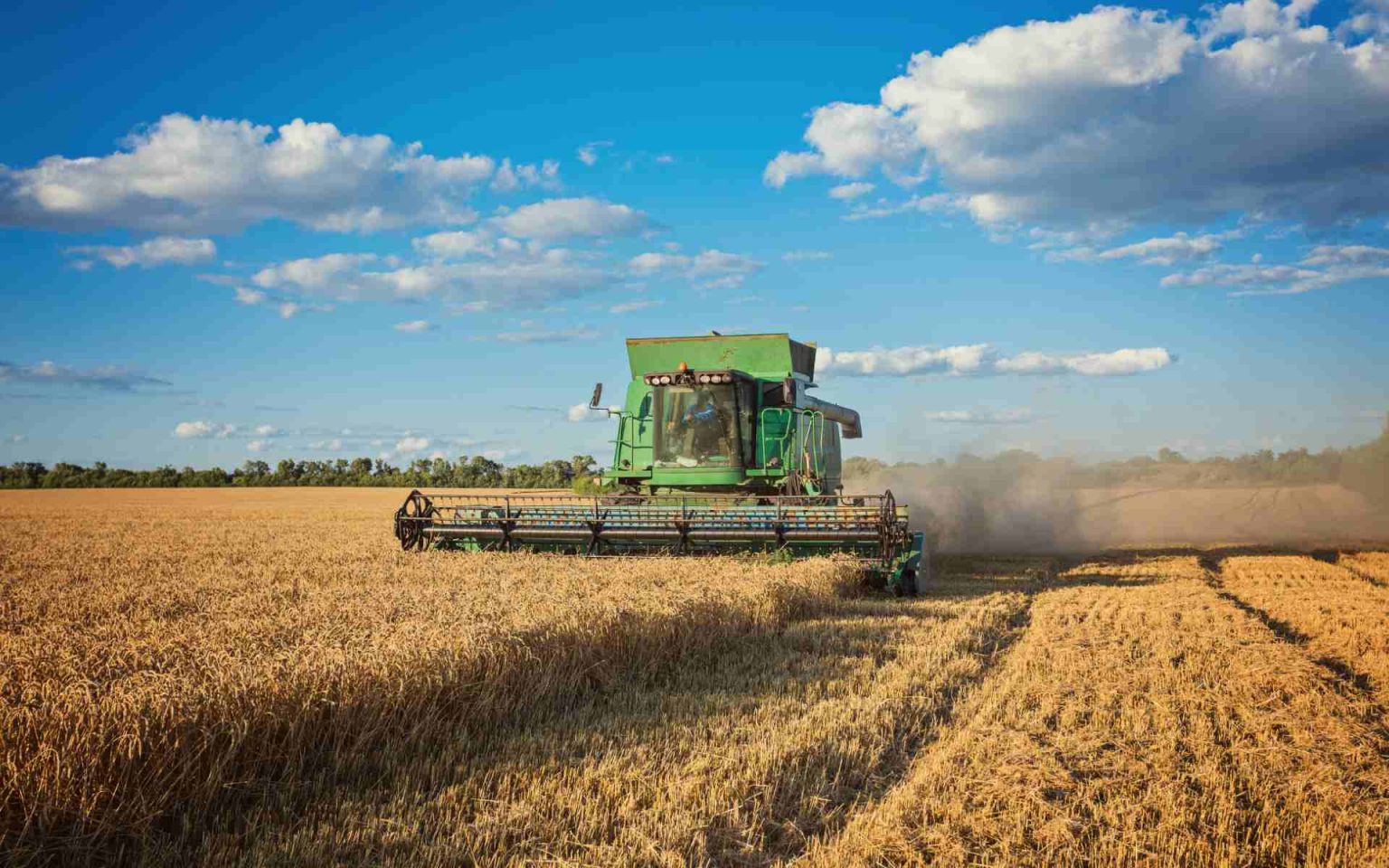 Congo’s Ministry of SMEs, Eni Sign Partnership to Boost Agriculture and ...